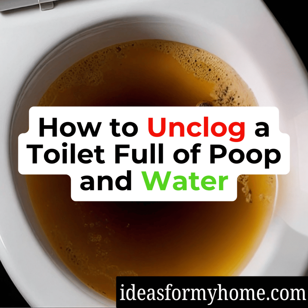 How to Unclog a Toilet Full of Poop & Water — 10 Proven Fixes